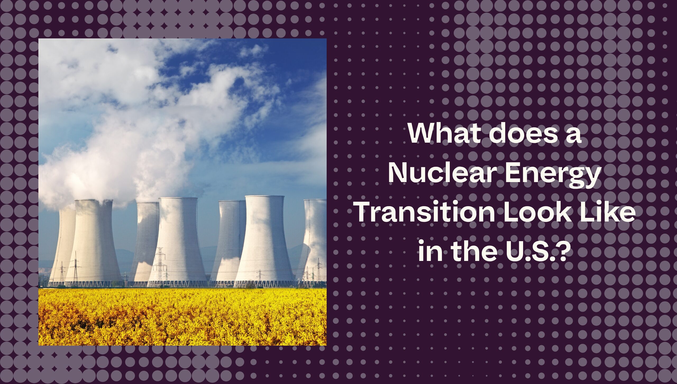 What does a Nuclear Energy Transition Look Like in the U.S ...