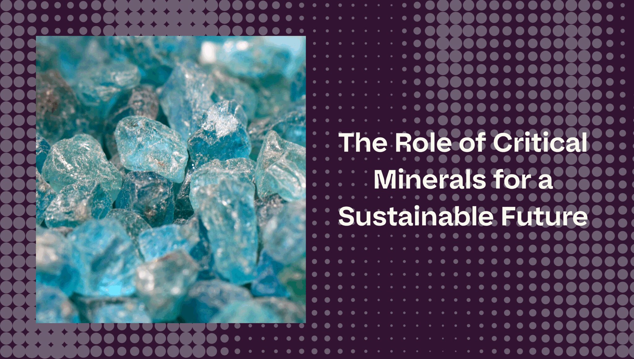 The Role of Critical Minerals for a Sustainable Future ...